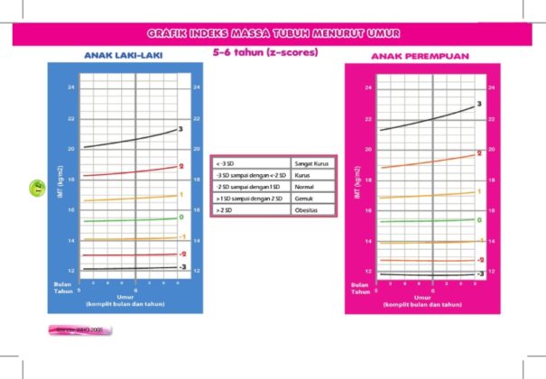 APA YANG BARU DARI BUKU KIA REVISI 2020? (Seri Kedua : Kesehatan Anak ...
